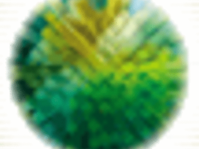 Usb Pubblico Impiego: Decreti assegnazione personale optante demanio